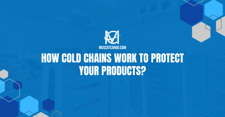How Cold Chains Work to Protect Your Products?